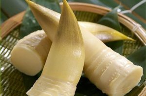 Benepisyong dulot ng labong o ubod ng kawayan, alamin!