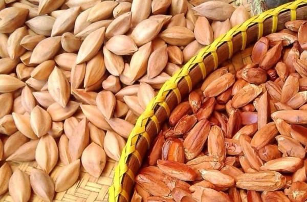 Pilipinas, mag-eexport na muli ng Pili nuts sa Europa