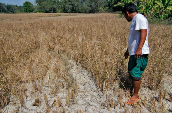 NDRRMC, bumuo na ng “El Niño Team” bilang paghahanda sa matinding tagtuyot