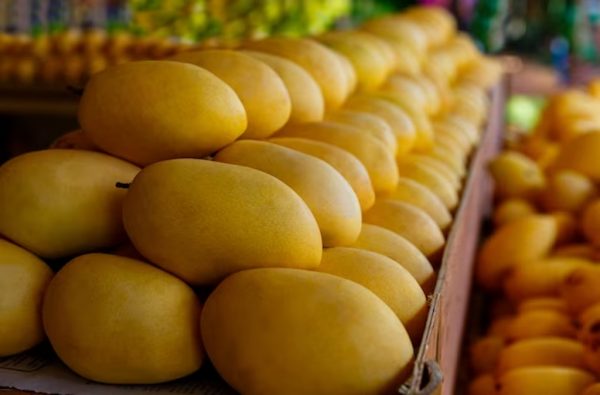 Pinaka-unang mango export ng Pilipinas sa Australia, sisimulan sa ...