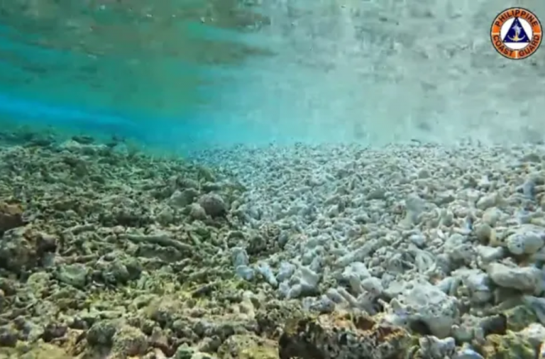 Pamamalagi ng Chinese Maritime Militia sa Rozul Reef at Escoda Shoal ...