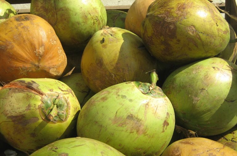 Mga benepisyong hatid ng sabaw ng buko, alamin!