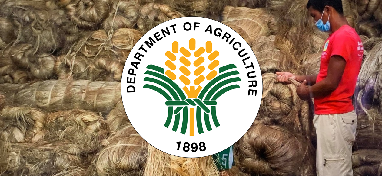 Pagpapataas ng Abaca Production sa bansa, target ng Department of ...
