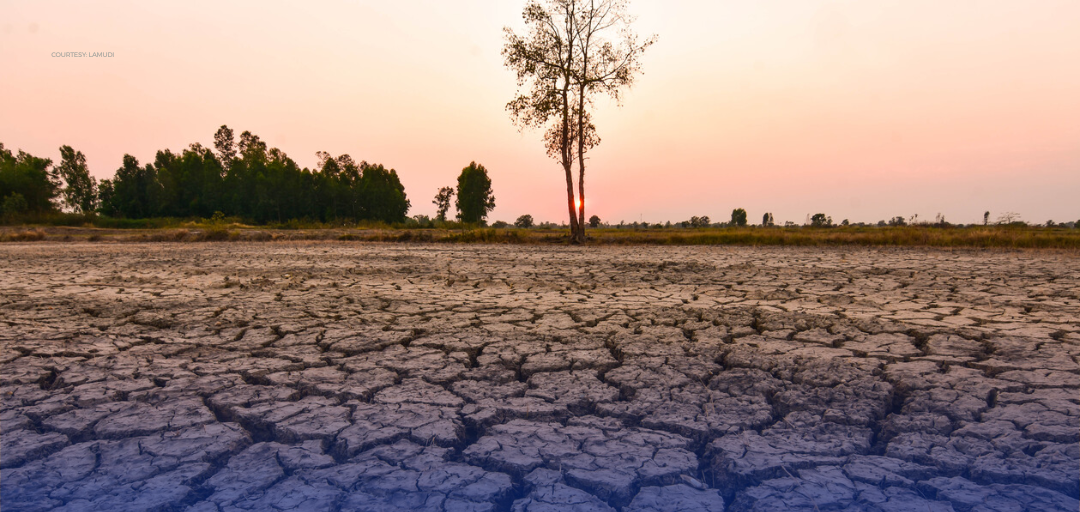 State of Calamity, idineklara sa Surallah, South Cotabato bunsod ng El Niño