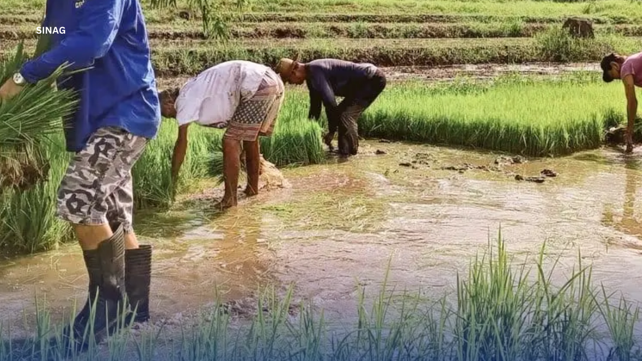 ₱500-M na fuel subsidy, inilaan ng DA sa mga magsasaka at mangingisda