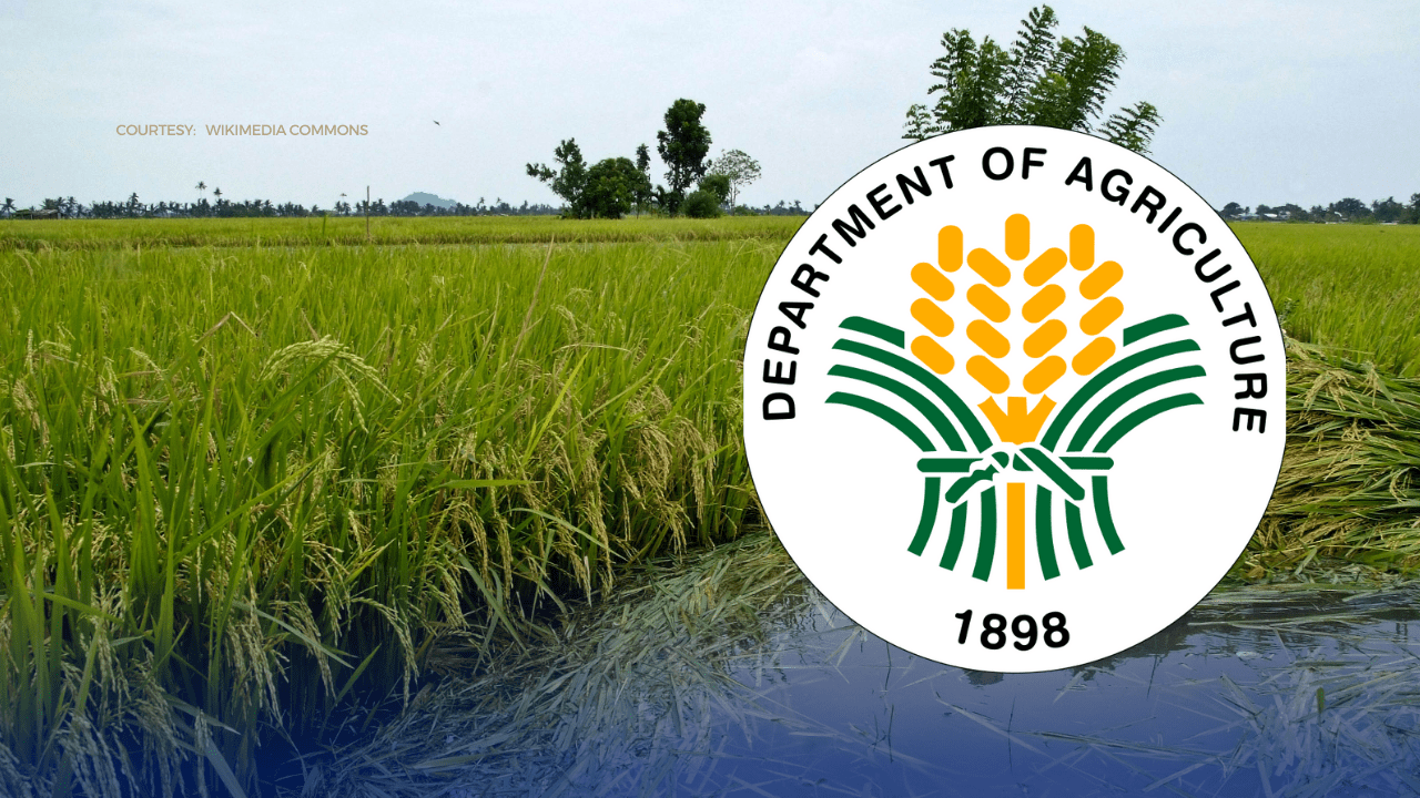 P11.83-M pinsala naitala sa Agri sector dahil sa bagyong Aghon