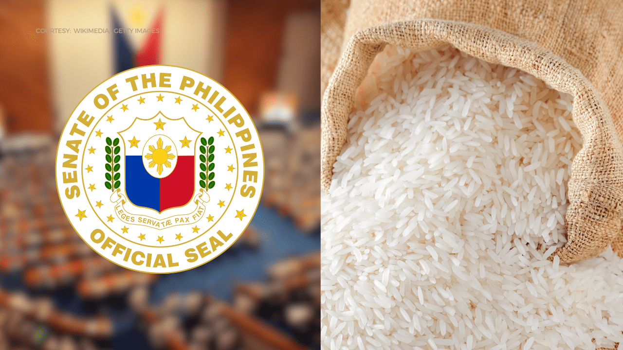 Panukalang bawasan ang taripa upang maibaba ang presyo ng bigas ... Panukalang bawasan ang taripa upang maibaba ang presyo ng bigas ...