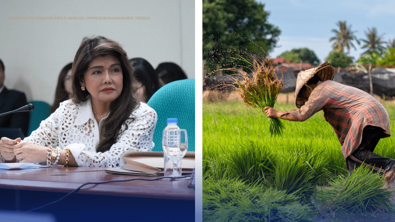 Pagpapababa ng taripa sa imported na bigas at karne, dagok sa mga magsasaka