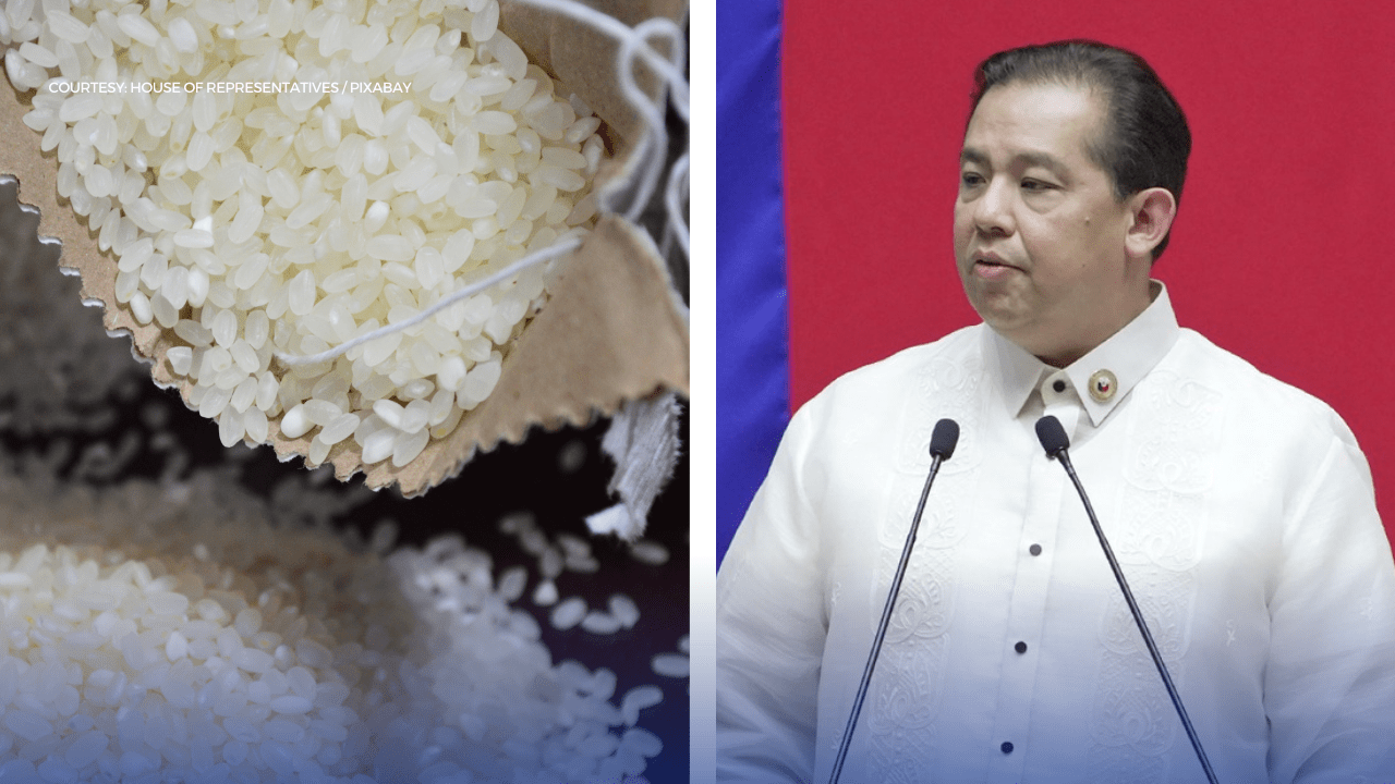Presyo ng bigas sa Kadiwa stores, asahang bababa sa pagtapyas ng taripa sa imported rice