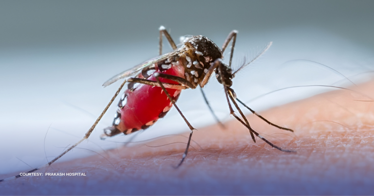 DOH, nanawagan sa mga LGU na linisin ang mga komunidad upang mapigilan ...